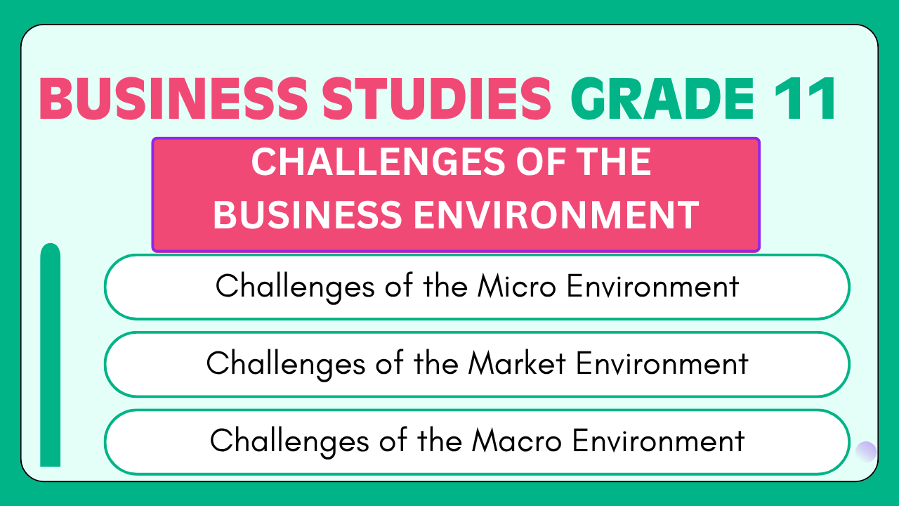 Business Studies Grade 11 - Ace My Exams