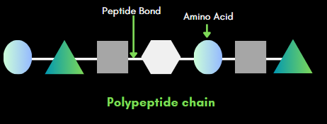 Organic Compounds | Life Sciences Grade 10 - Ace My Exams